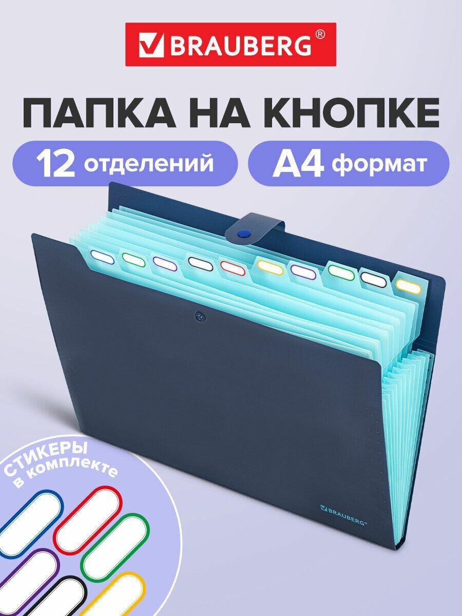 Папка для документов А4 канцелярская с файлами, органайзер для бумаг на кнопке 12 отделений в школу, синяя с голубым, Brauberg "Extra 12 секций сине-голубая школьная