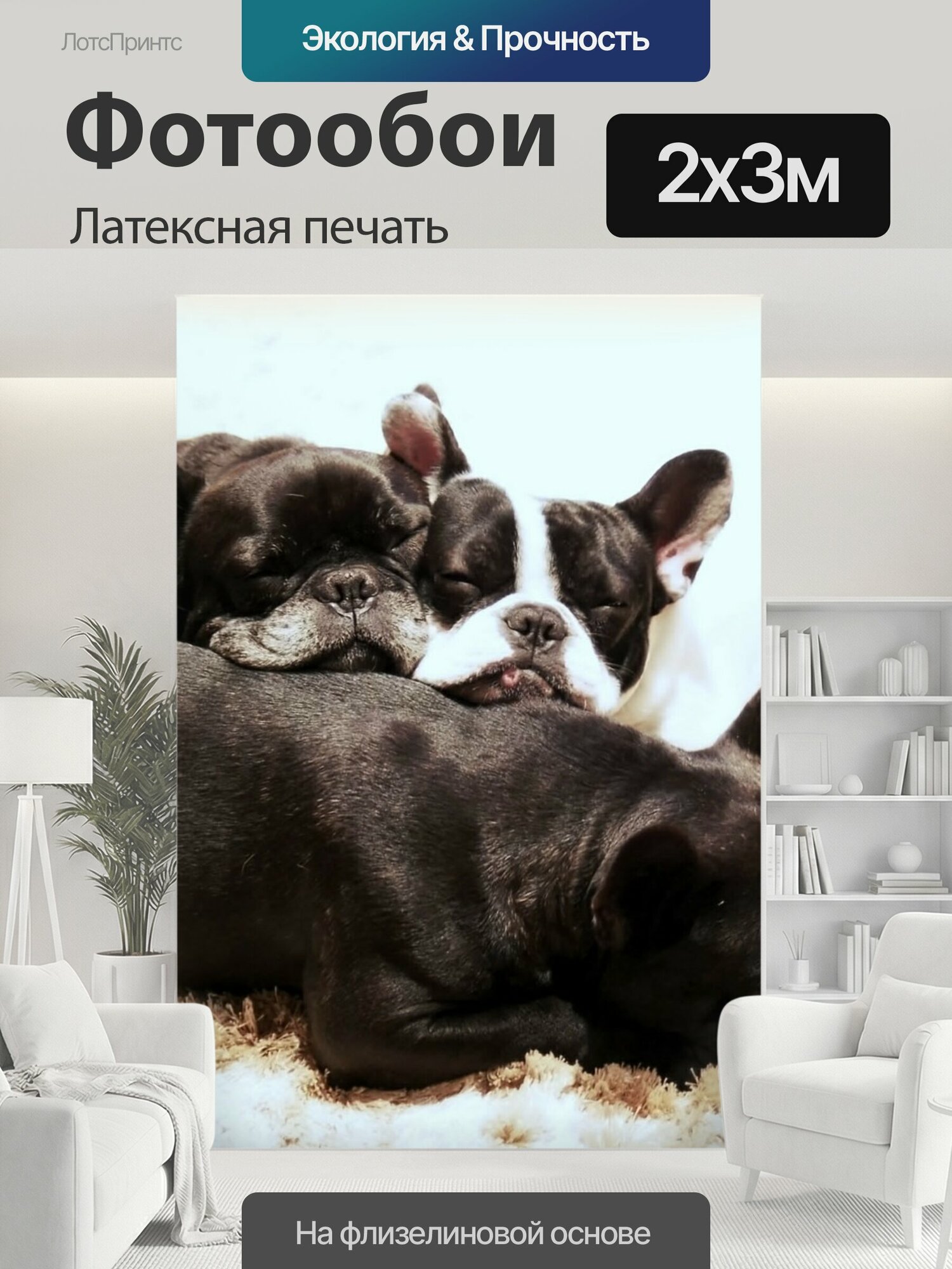 Фотообои моющиеся ударопрочные "Щенки, собака, французский бульдог" 200x300 см. латексная печать