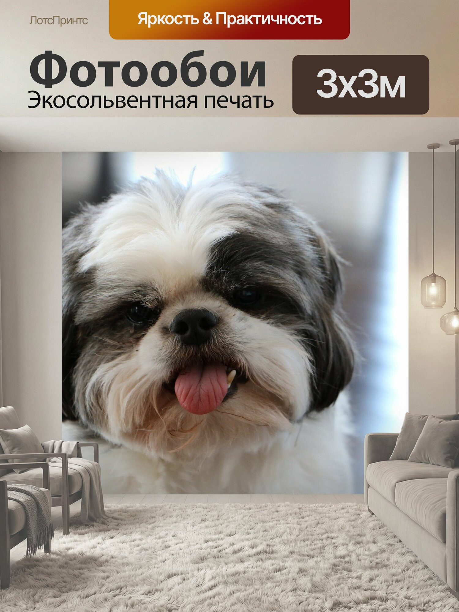 Фотообои "Собака, ши тцу, белый" 300x300 см. экосольвентная печать