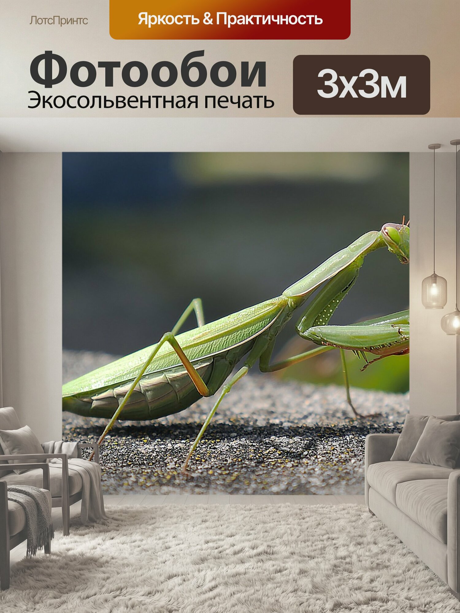 Фотообои "Насекомое, богомол, зеленый" 300x300 см. экосольвентная печать