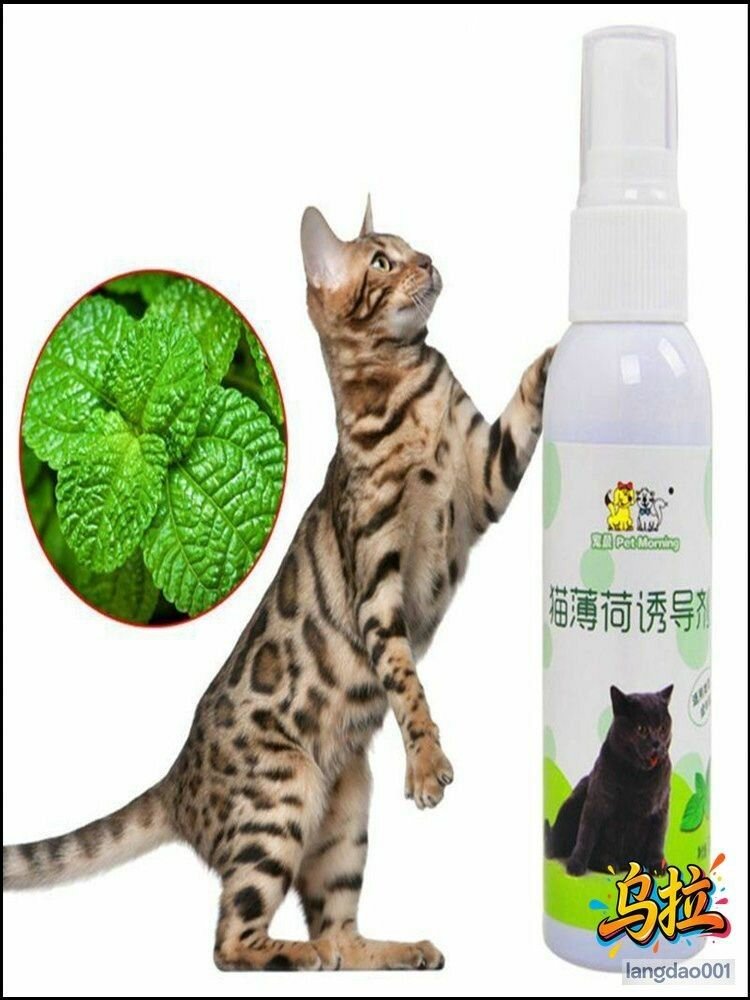 Спрей для кошек с кошачьей мятой, 100 мл