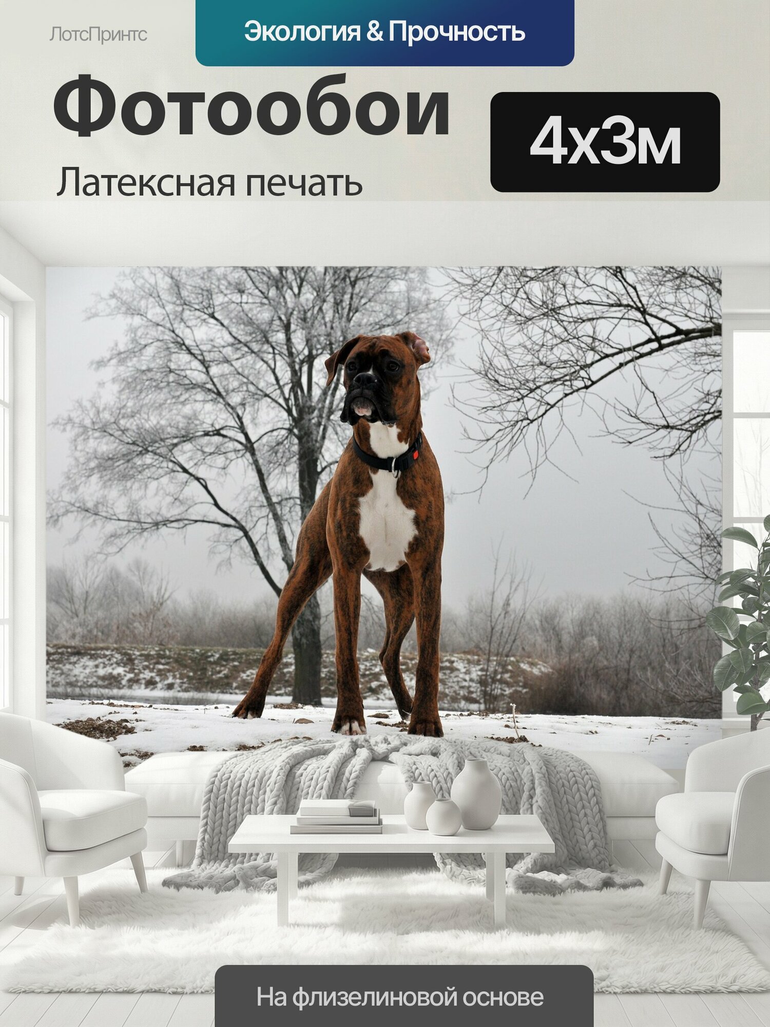 Фотообои моющиеся ударопрочные "Животное, собака, боксер" 400x300 см. латексная печать