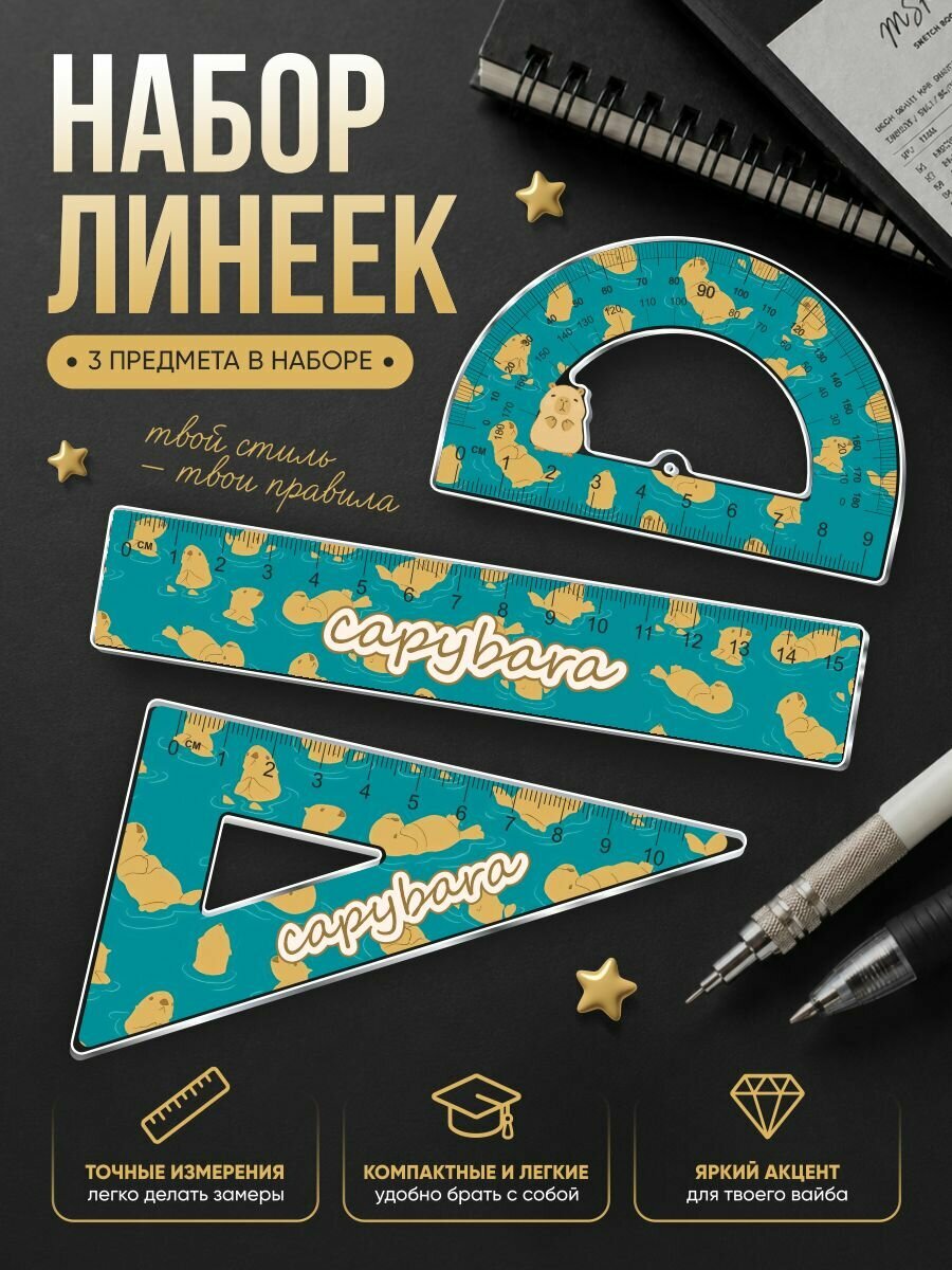 Линейки набор для школы капибара