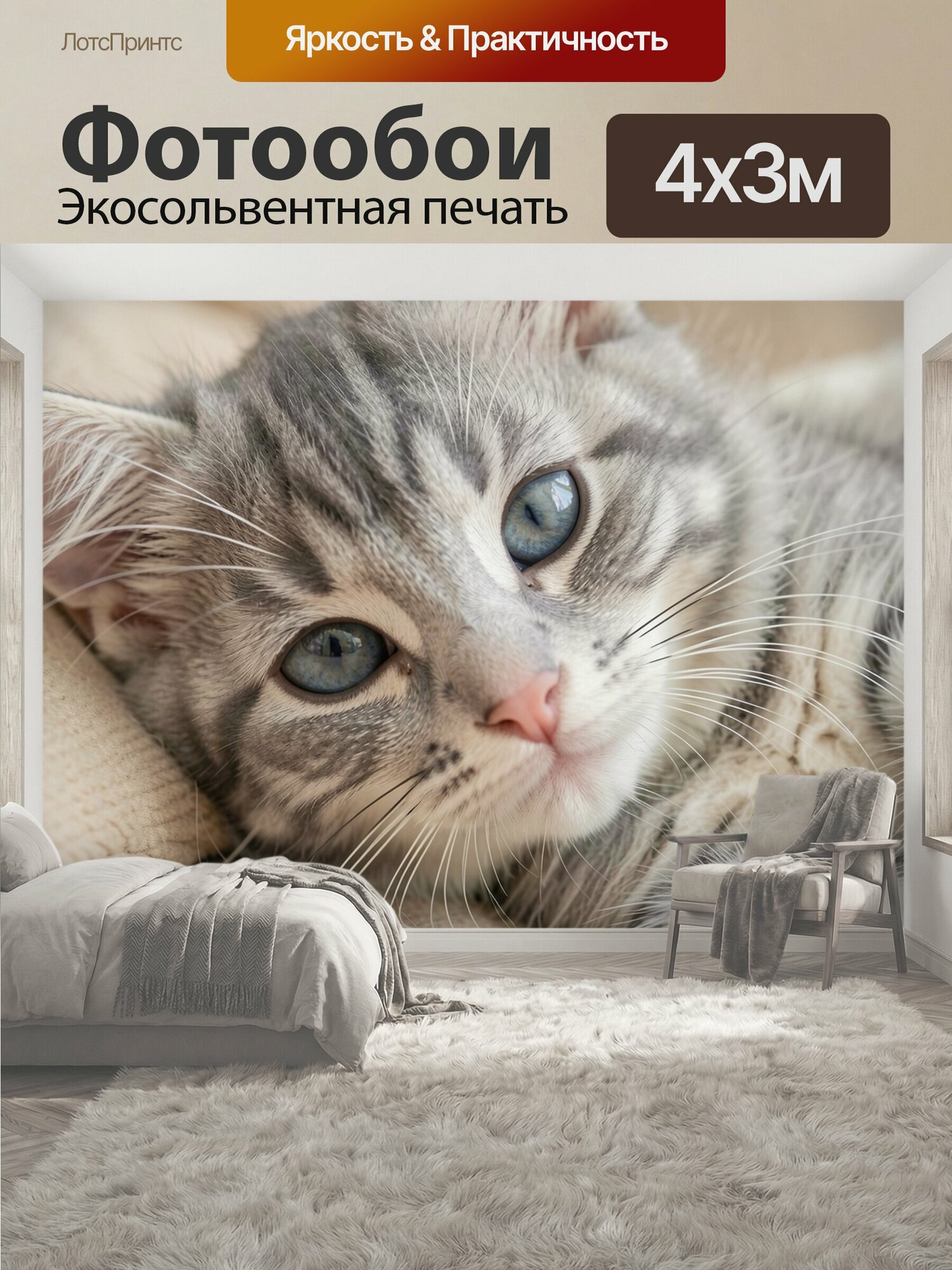 Фотообои "Милый серый котёнок крупным планом. Нежный пушистый питомец с голубыми глазами лежит на светлой мягкой поверхности, мягкий." 400x300 см. экосольвентная печать
