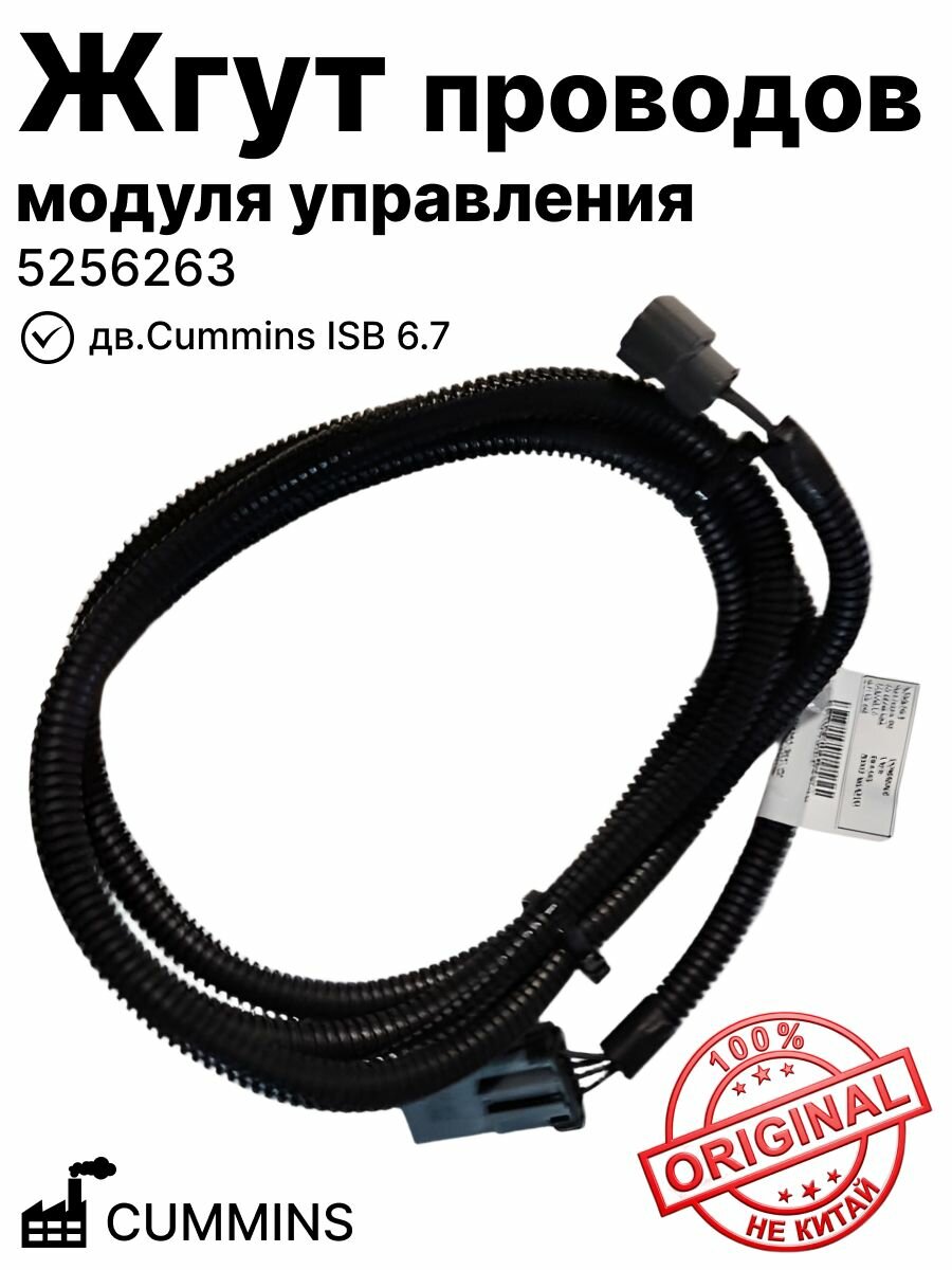 Жгут проводов модуля управления на дв. Cummins ISB 6.7 CUMMINS (5256263)
