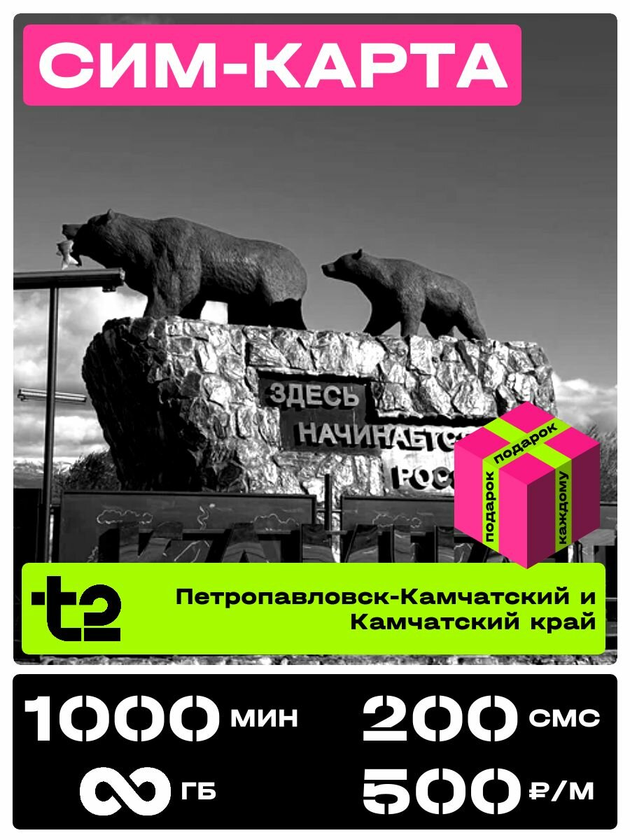 Сим карта теле 2 с безлимитным интернетом. t2 SIM-карта тариф Партнер М Камчатский край. 1000 минут за 500 рублей в месяц.