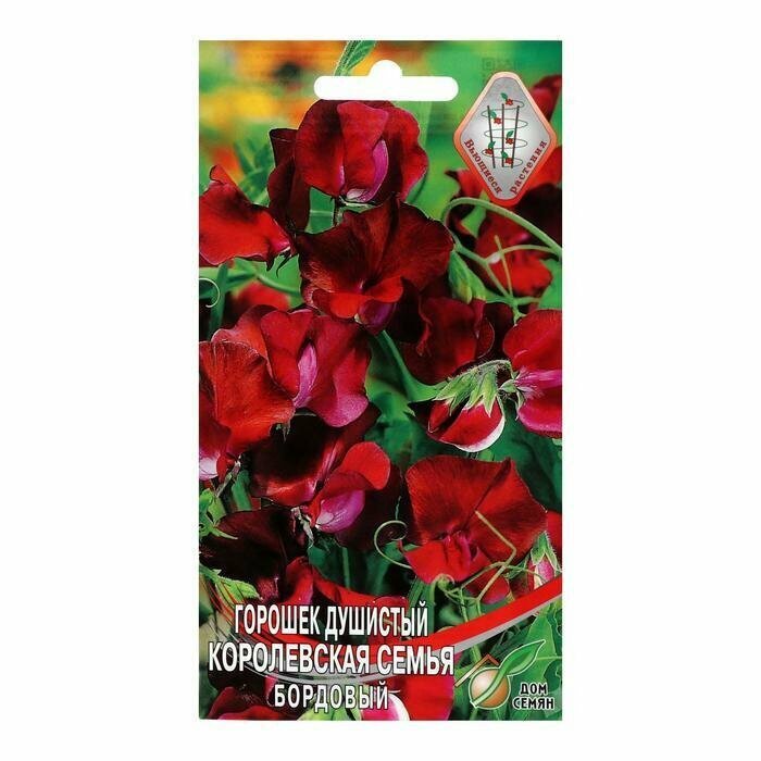 Семена цветов Горошек душистый 'Королевская семья', бордовый, 6 шт