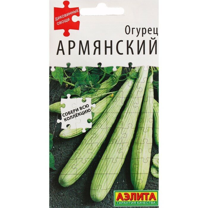 Семена Огурец Армянский --- Диковинные овощи 10шт Ц/П
