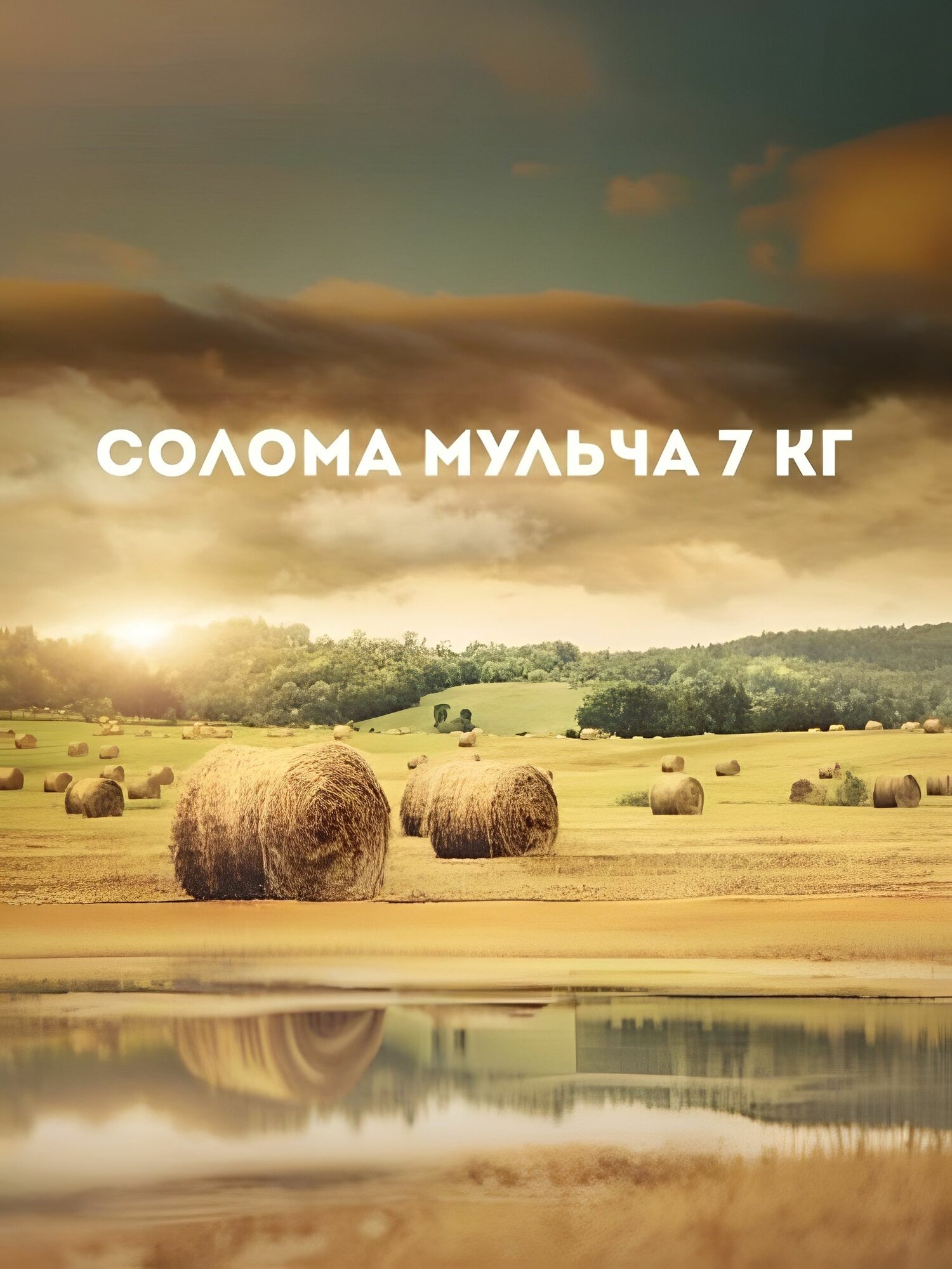 Top Animal World Укрывной материал Солома, 0.53x0.73 м, 1 шт