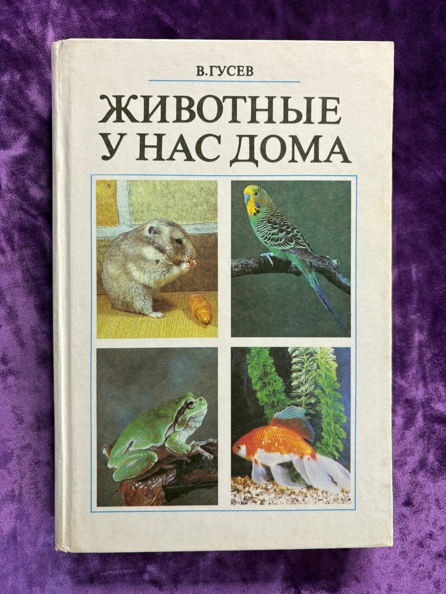 Животные у нас дома. Справочное пособие