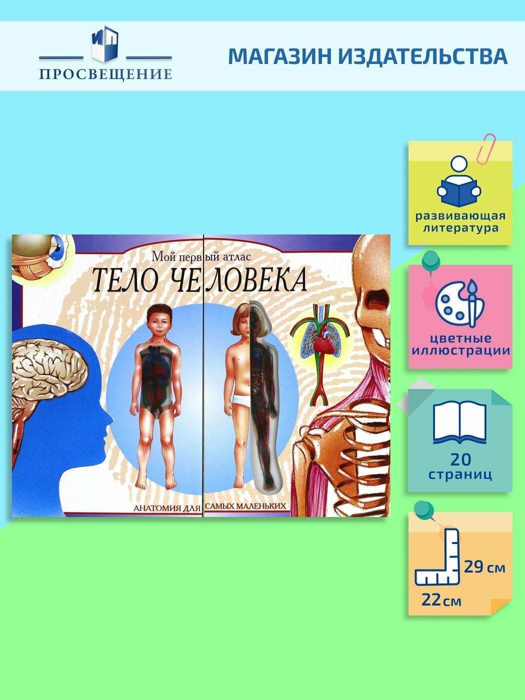 Тело человека. Мой первый атлас
