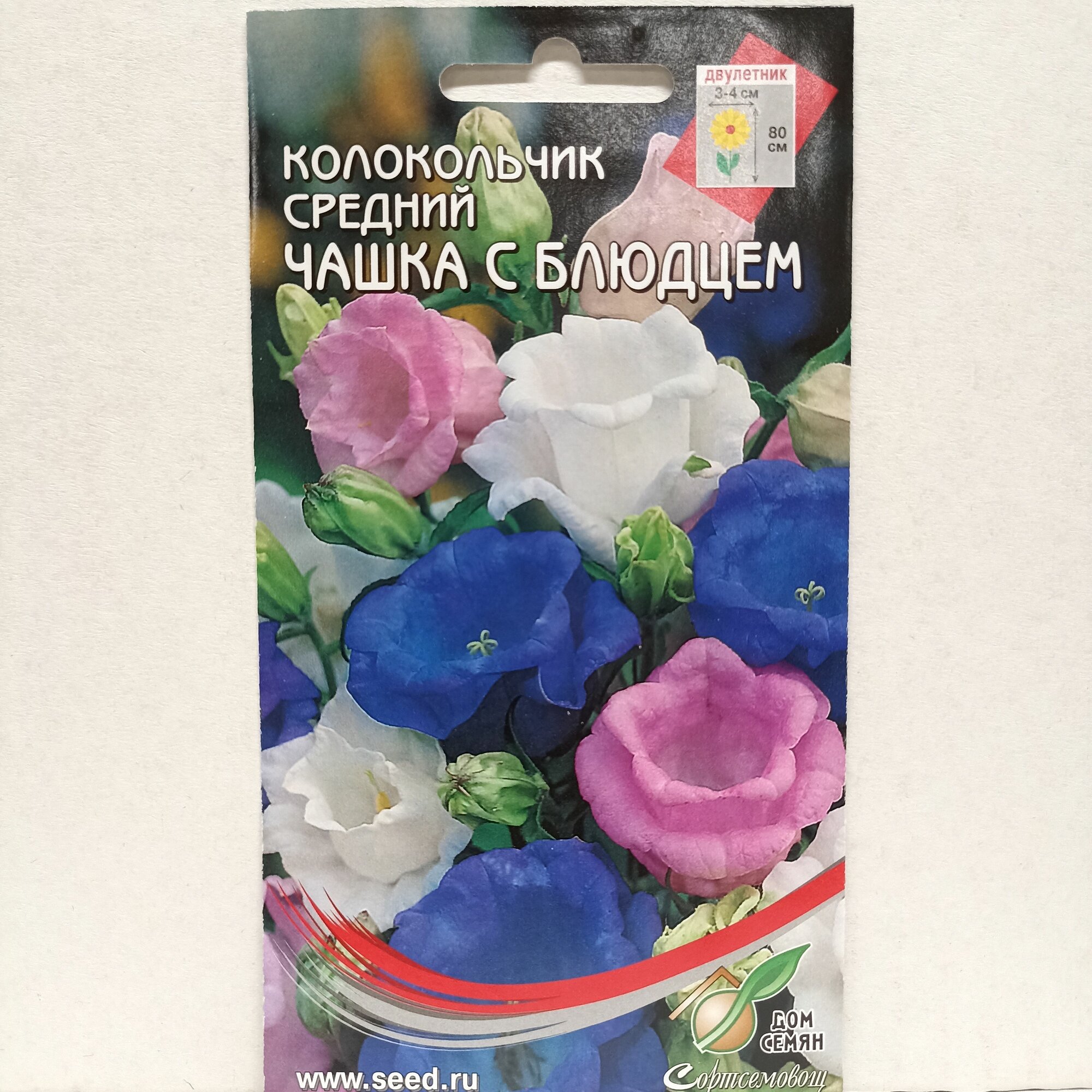 Колокольчик многолетний Чашка с Блюдцем, 150 семян многолетние цветы семена колокольчика