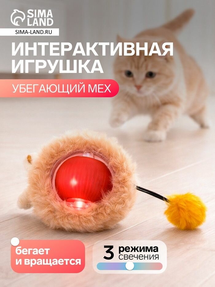 Интерактивная игрушка для кошек Убегающий мех , красная