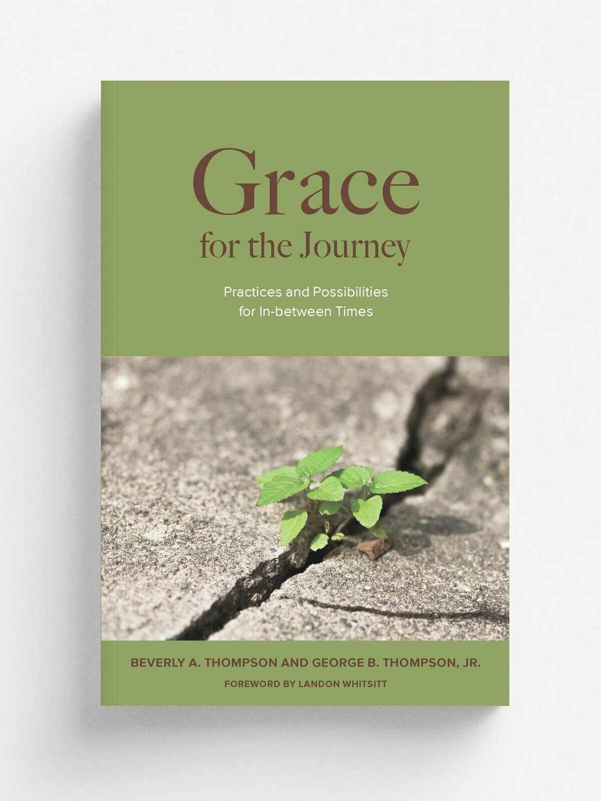Grace for the Journey. Practices and Possibilities for In-Between Times