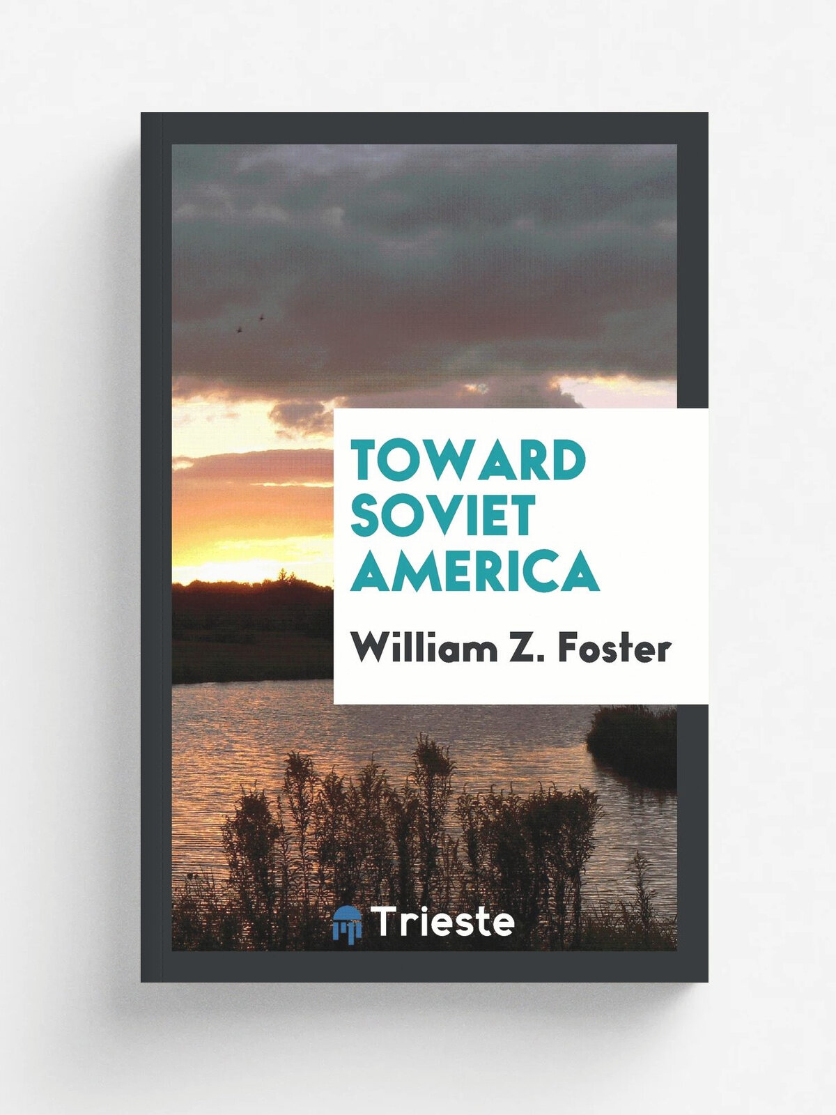 Toward soviet America