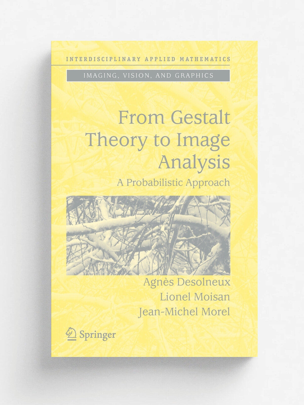 From Gestalt Theory to Image Analysis. A Probabilistic Approach