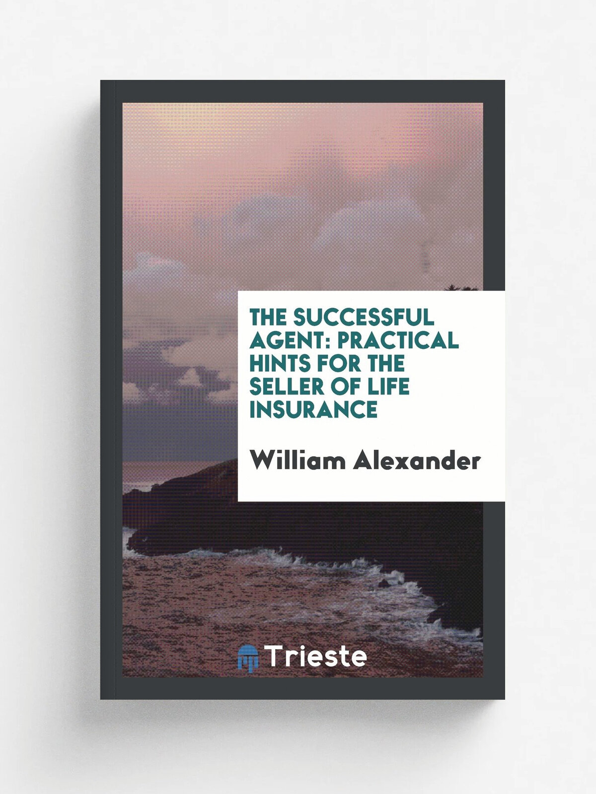 The successful agent. practical hints for the seller of life insurance