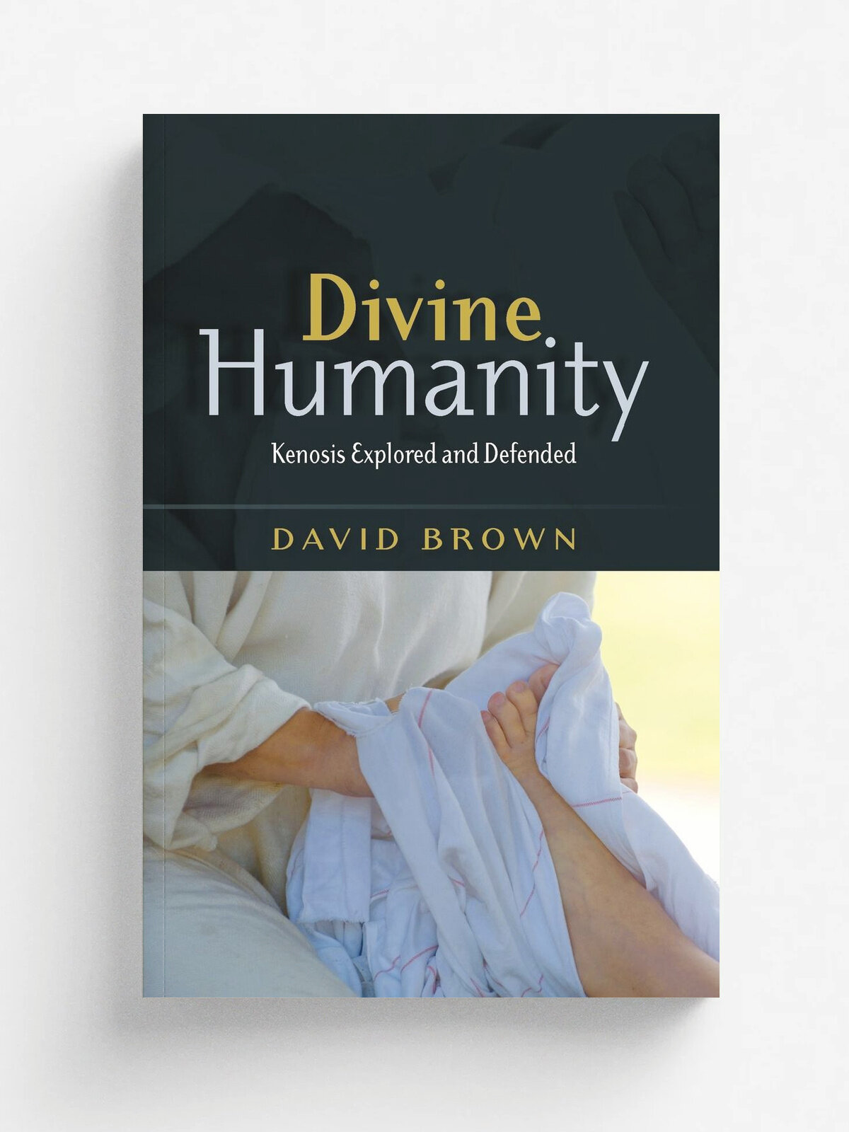 Divine Humanity. Kenosis Explored and Defended