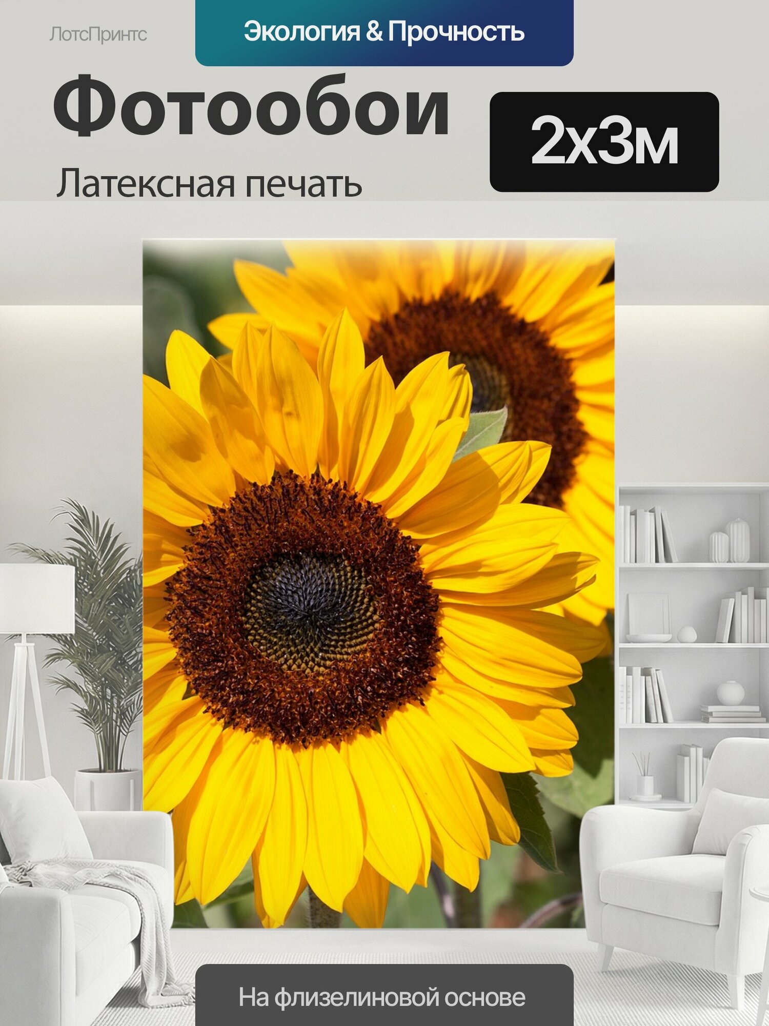 Фотообои моющиеся ударопрочные "Подсолнухи, helianthus annuus, цветок" 200x300 см. латексная печать