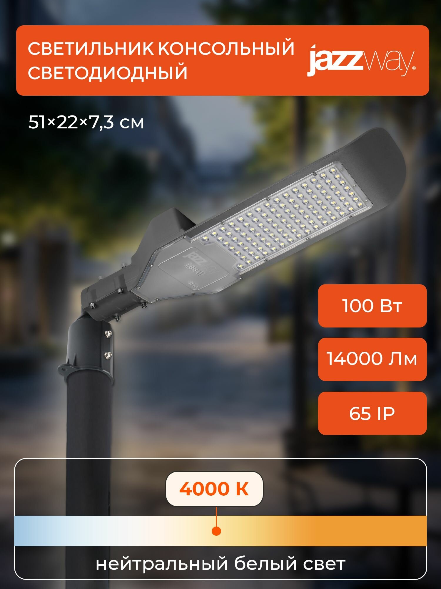 Светильник уличный консольный Jazzway PSL 02 100w 4000K