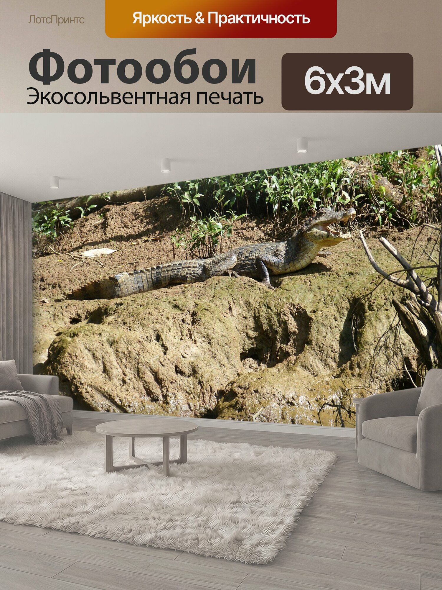 Фотообои "Кайман, рептилия, животное" 600x300 см. экосольвентная печать