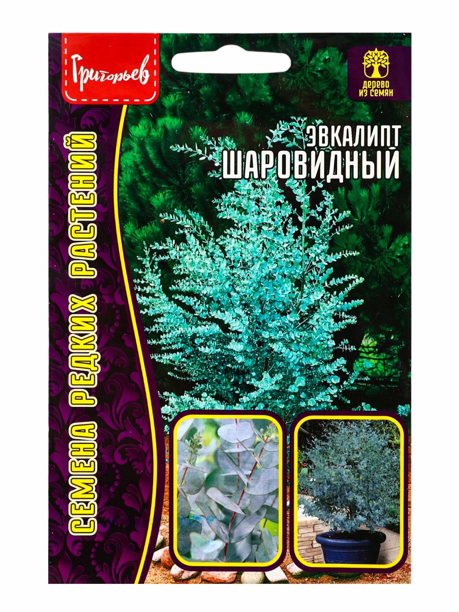 Семена Эвкалипт Шаровидный 10шт. 12.29 г. 10967546