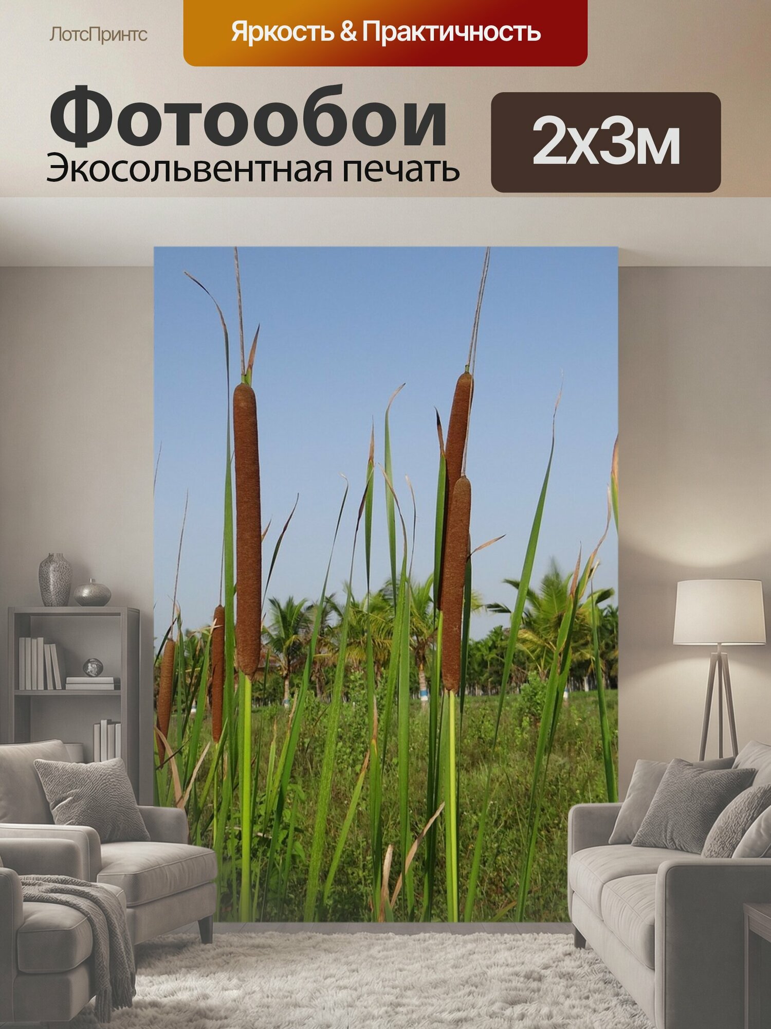 Фотообои "Тиф узколистный, малый камыш, узколистный рогоз" 200x300 см. экосольвентная печать