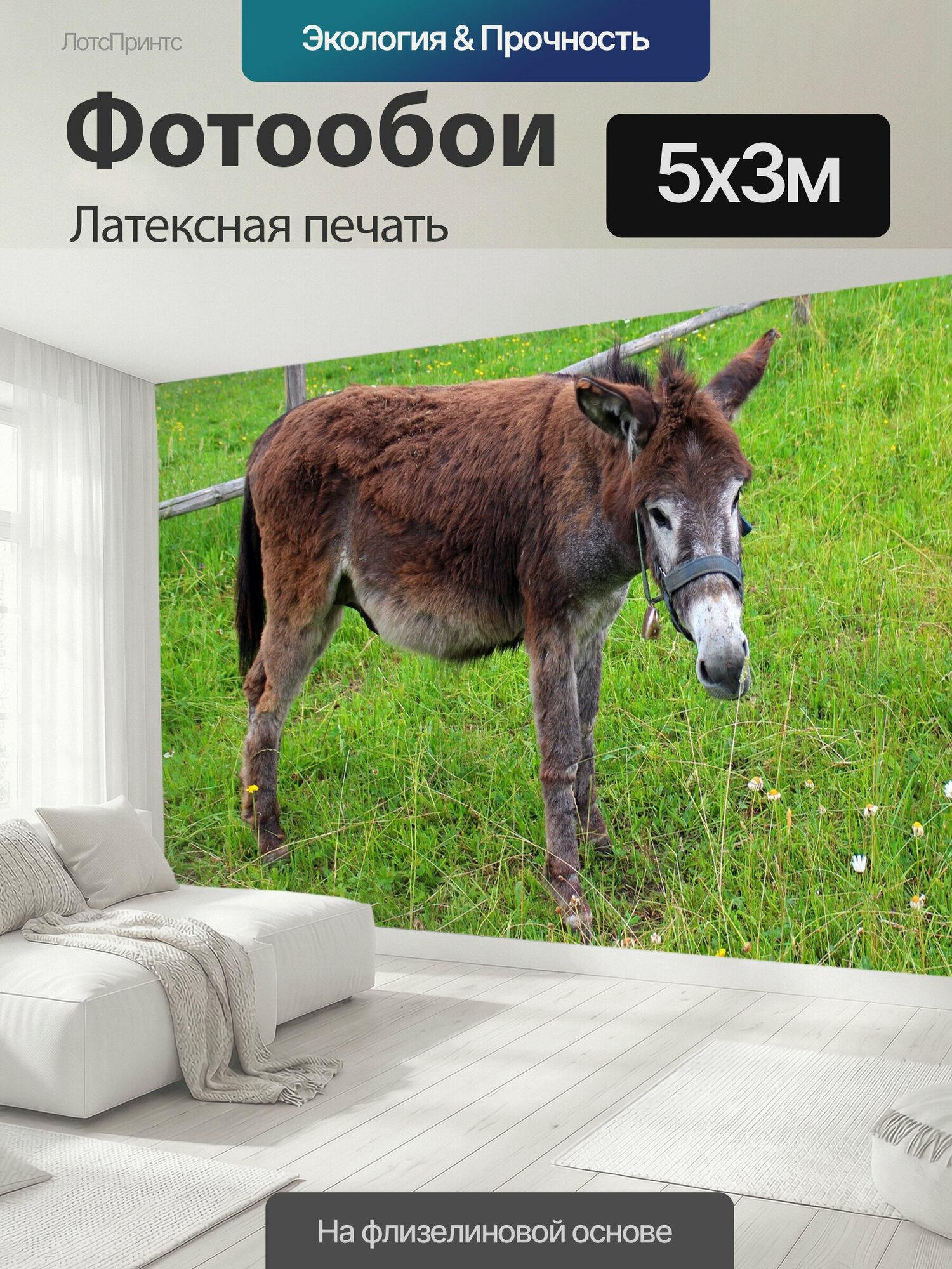 Фотообои моющиеся ударопрочные "Домашний осёл, животное, вьючное животное" 500x300 см. латексная печать