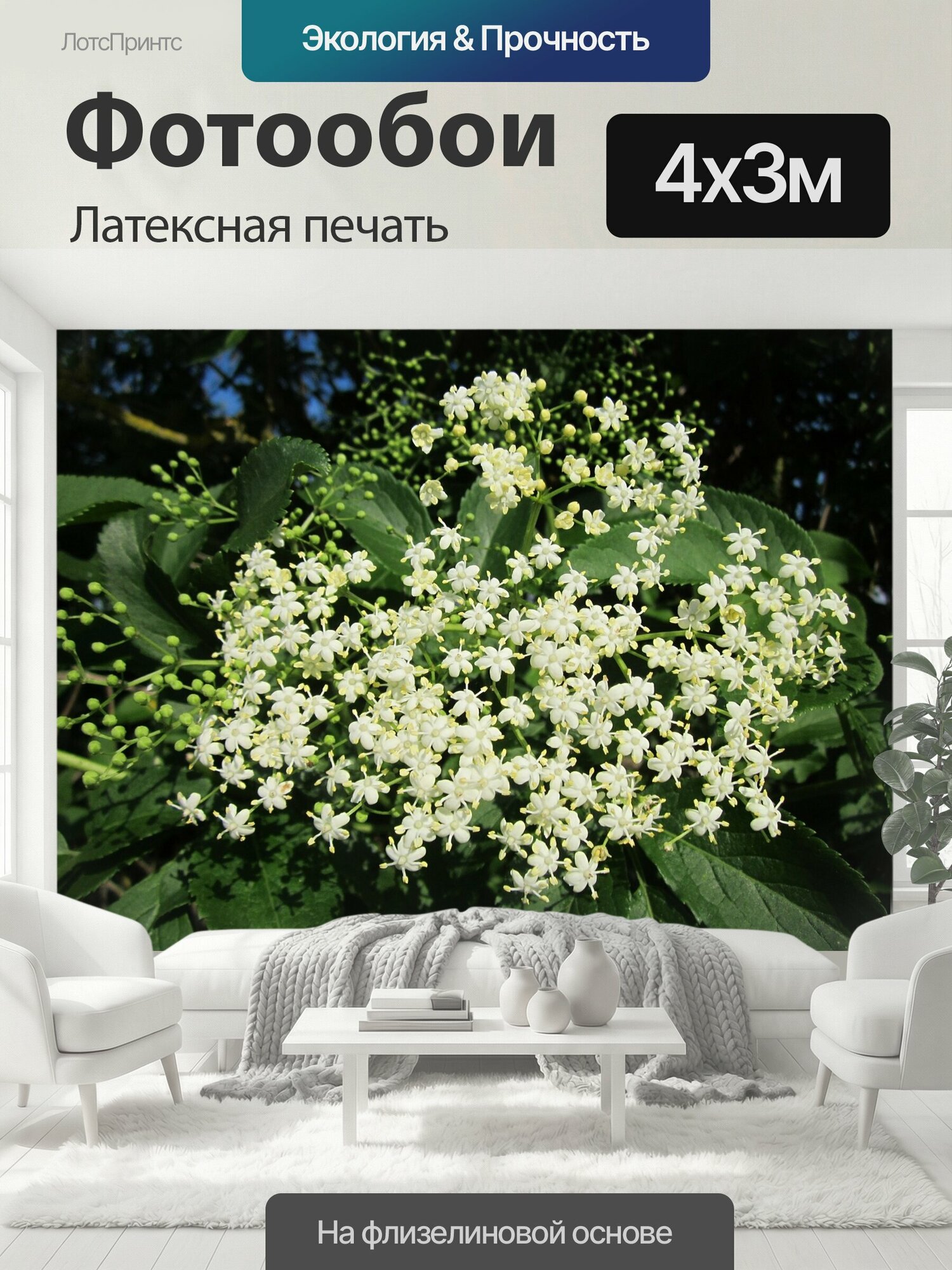 Фотообои моющиеся ударопрочные "Самбук черный, старейшина, бузина" 400x300 см. латексная печать
