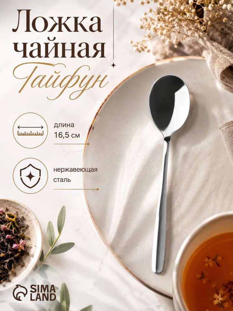 Ложка чайная «Тайфун», длина 16.5 см, нержавеющая сталь, серебристая