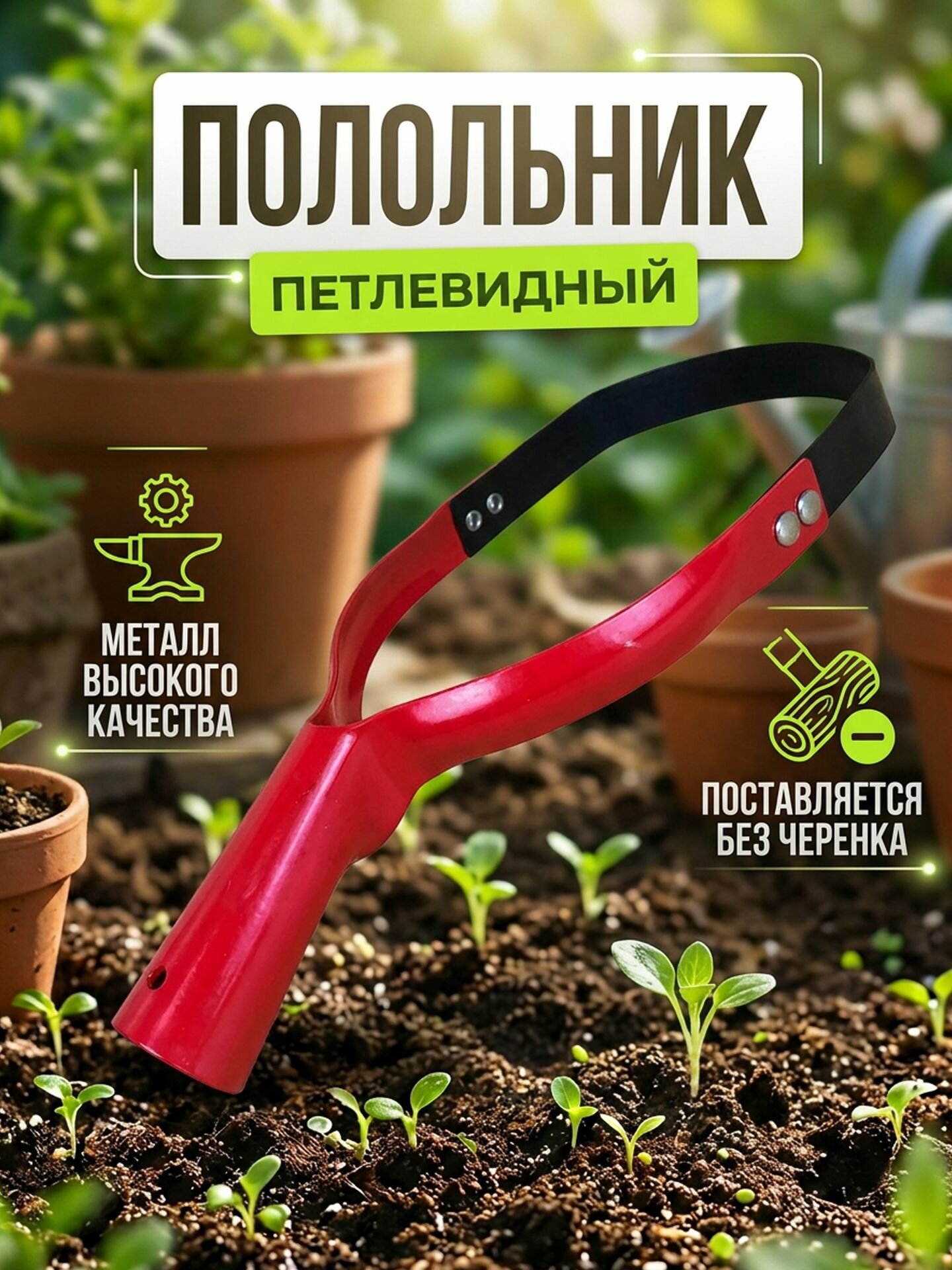 Полольник без черенка петлевидный садовый