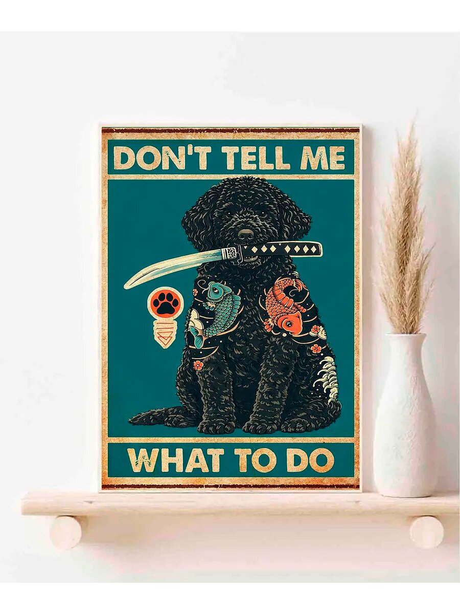 Португальская водяная собака, Don't Tell Me What To Do, Пла