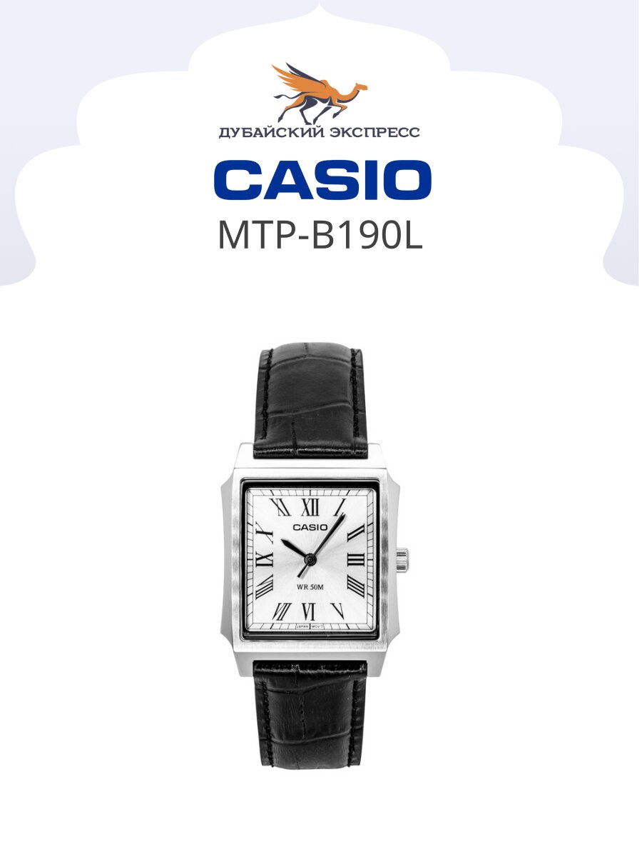  CASIO