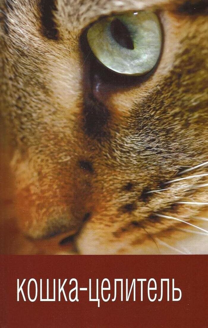 Кошка-целитель
