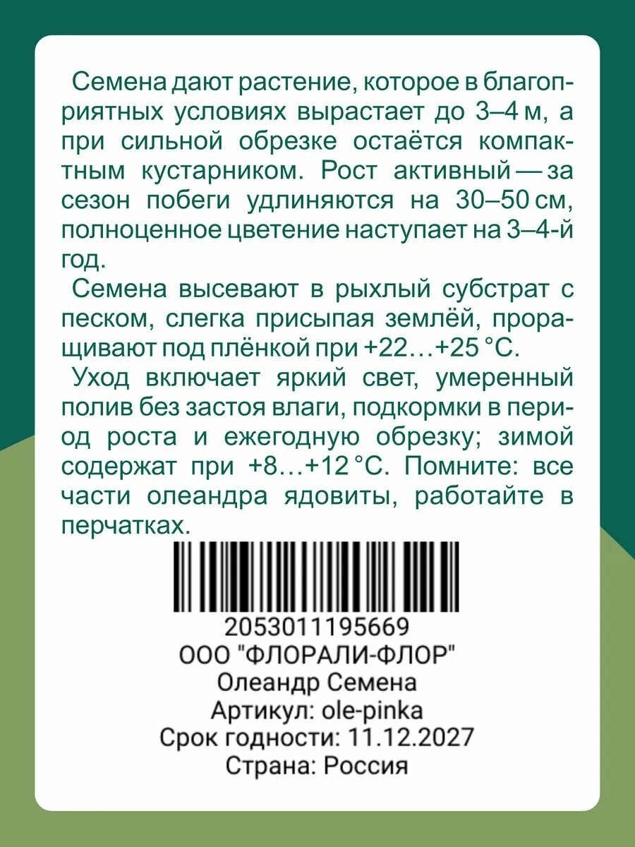 Олеандр Семена — фото 1