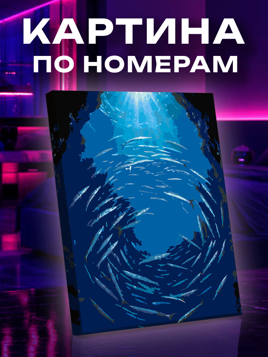 Картина по номерам Серебряный смерч барракуд