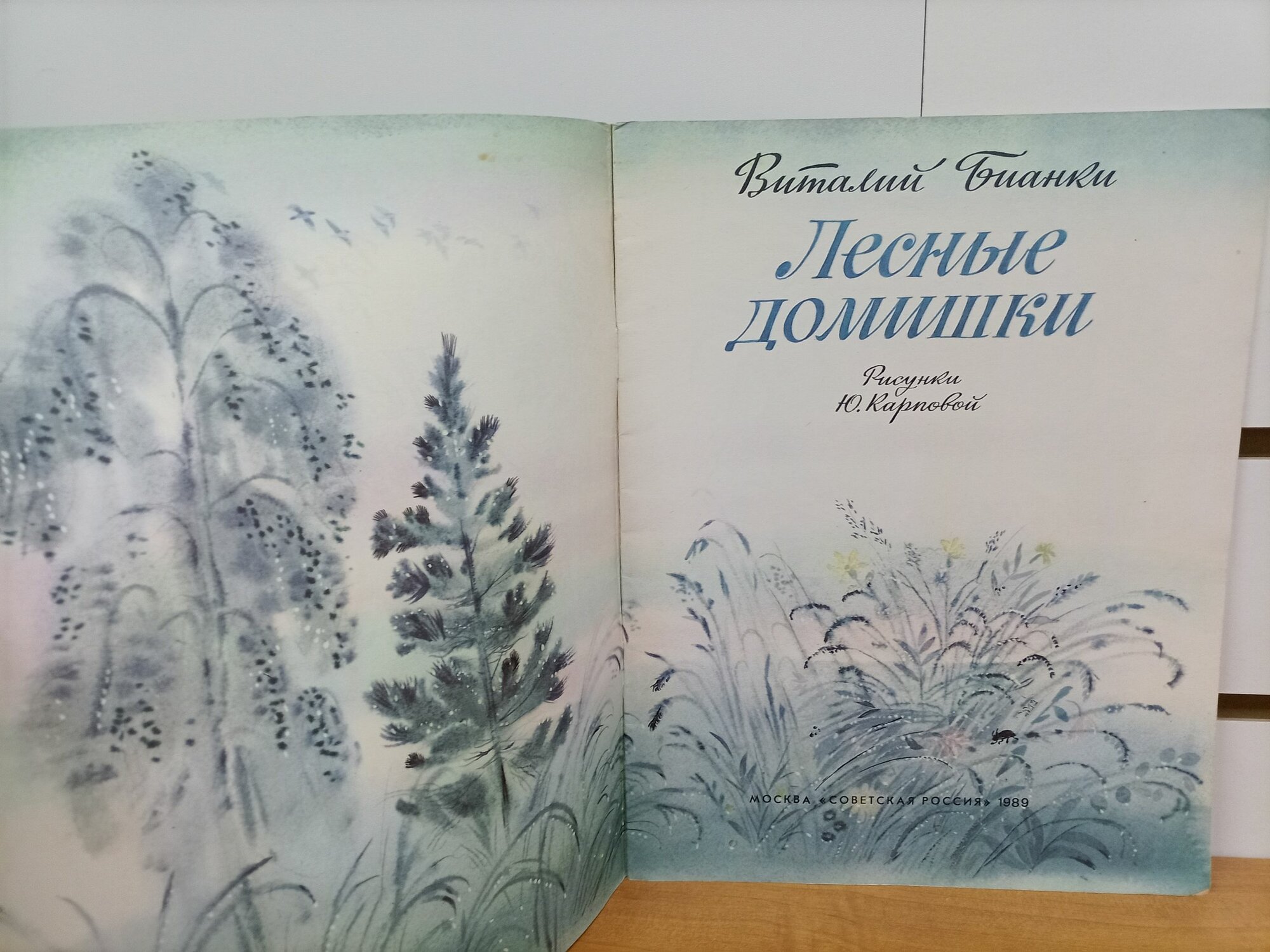 Лесные домишки — фото 1