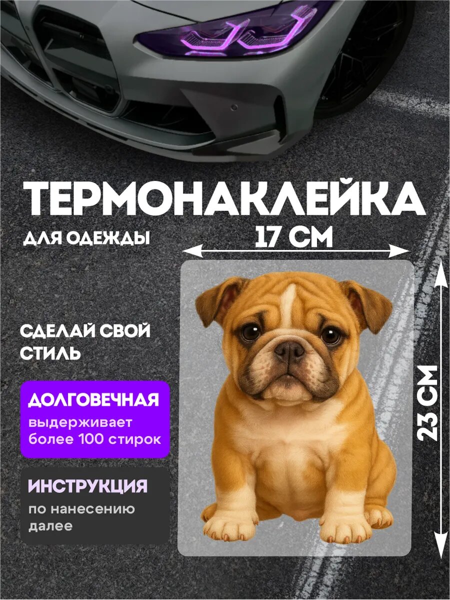 Термонаклейка на одежду Бульдог