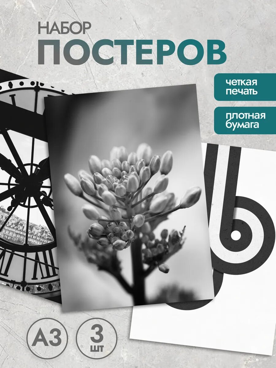 Постеры интерьерные А3 на стену