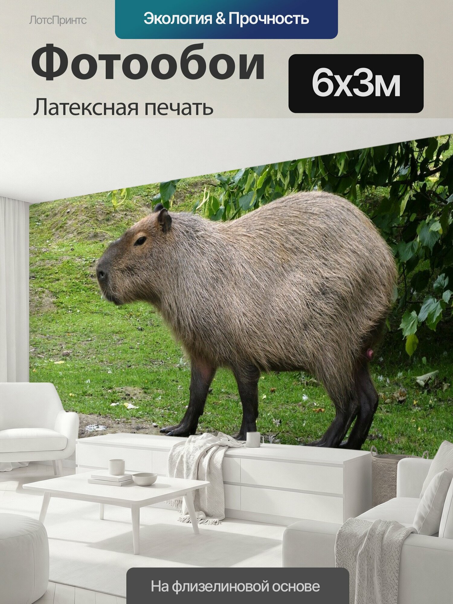 Фотообои моющиеся ударопрочные "Капибара, faunapark, парк животных" 600x300 см. латексная печать