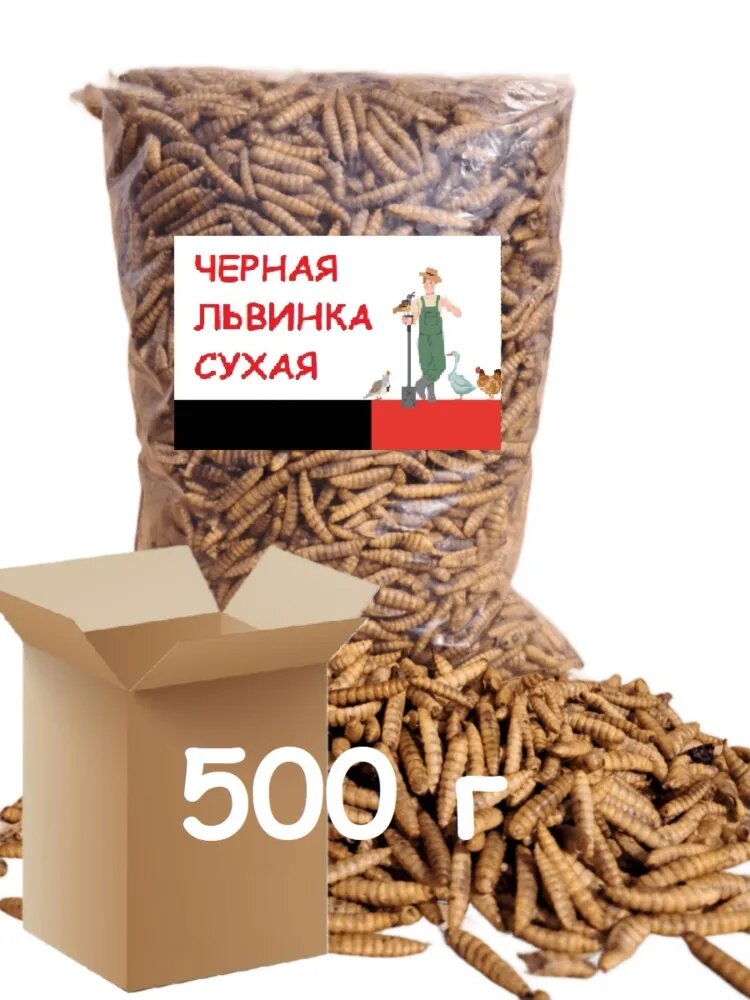Черная львинка Сушеные личинки