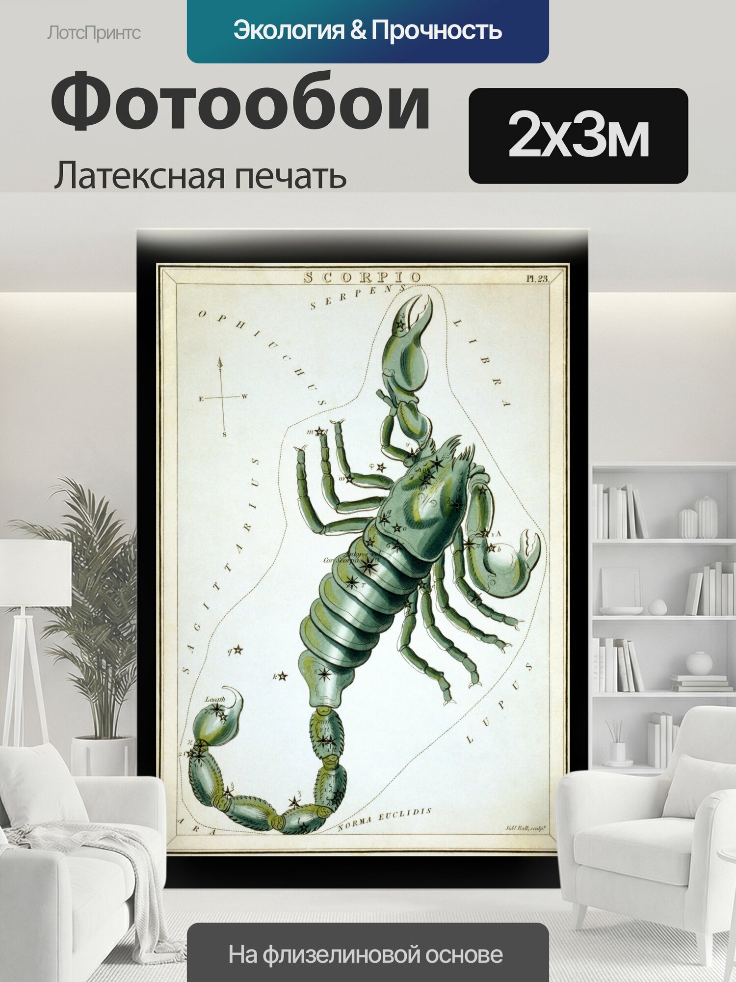 Фотообои моющиеся ударопрочные "Скорпион Vintage Zodiac Art Print Скорпион винтажный знак зодиака скорпион винтаж зодиак знак созвездие искусство." 200x300 см. латексная печать