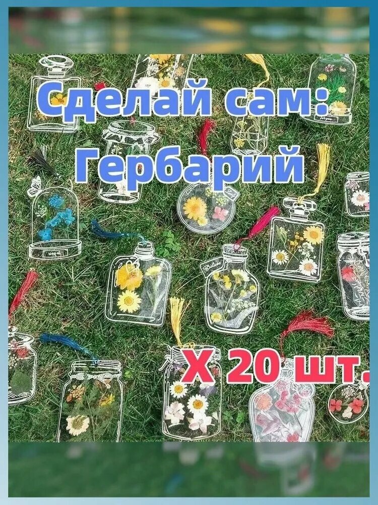 Альбом Гербарий