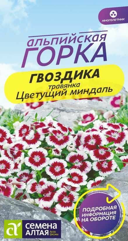 Семена Гвоздика травянка Цветущий миндаль/Семена Алтая/цп 0,05 гр. многолетник. Альпийская горка для альпийской горки многолетняя гвоздика