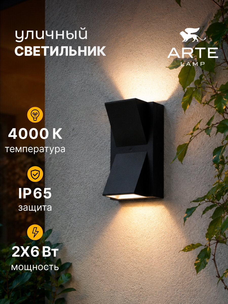 Фасадный светильник Arte Lamp GUNTER A6306AL-2BK, LED, 6Вт, чёрный