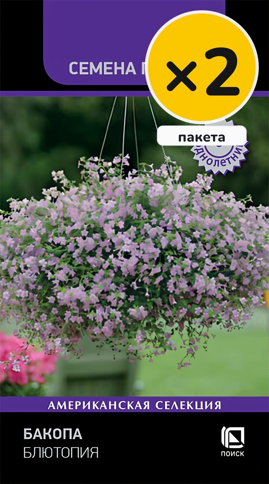 Семена бакопы Блютопия, 5 шт, 2 пакета, Поиск, однолетник, высота до 15 см, посев на рассаду в феврале–марте