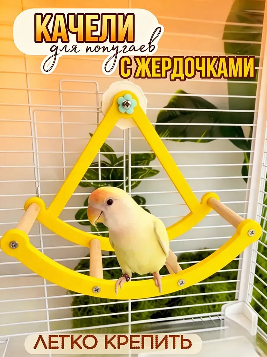 Качели для попугаев