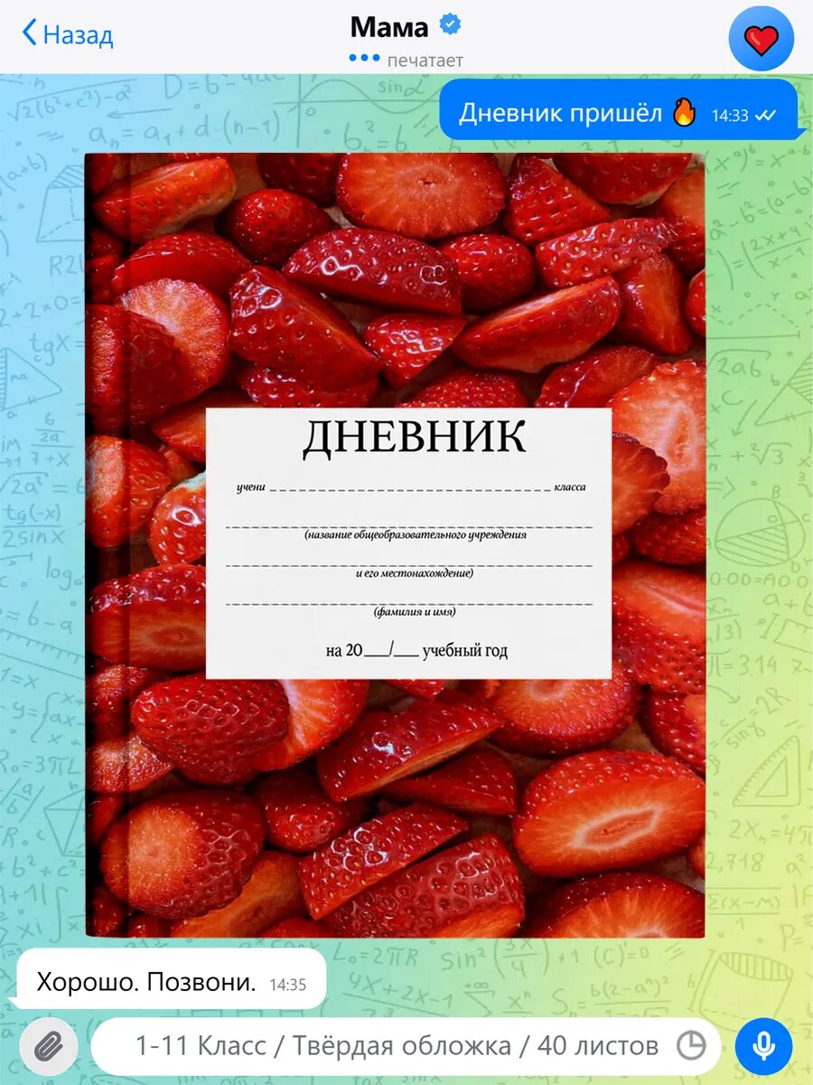 Школьный дневник с принтом y2k pinterest