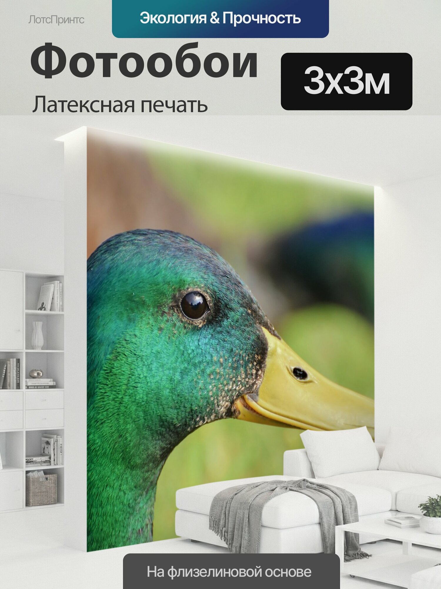 Фотообои моющиеся ударопрочные "Утка, селезень, кряква" 300x300 см. латексная печать