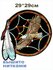 Нашивка FEATHER DREAMCATCHER EAGLE